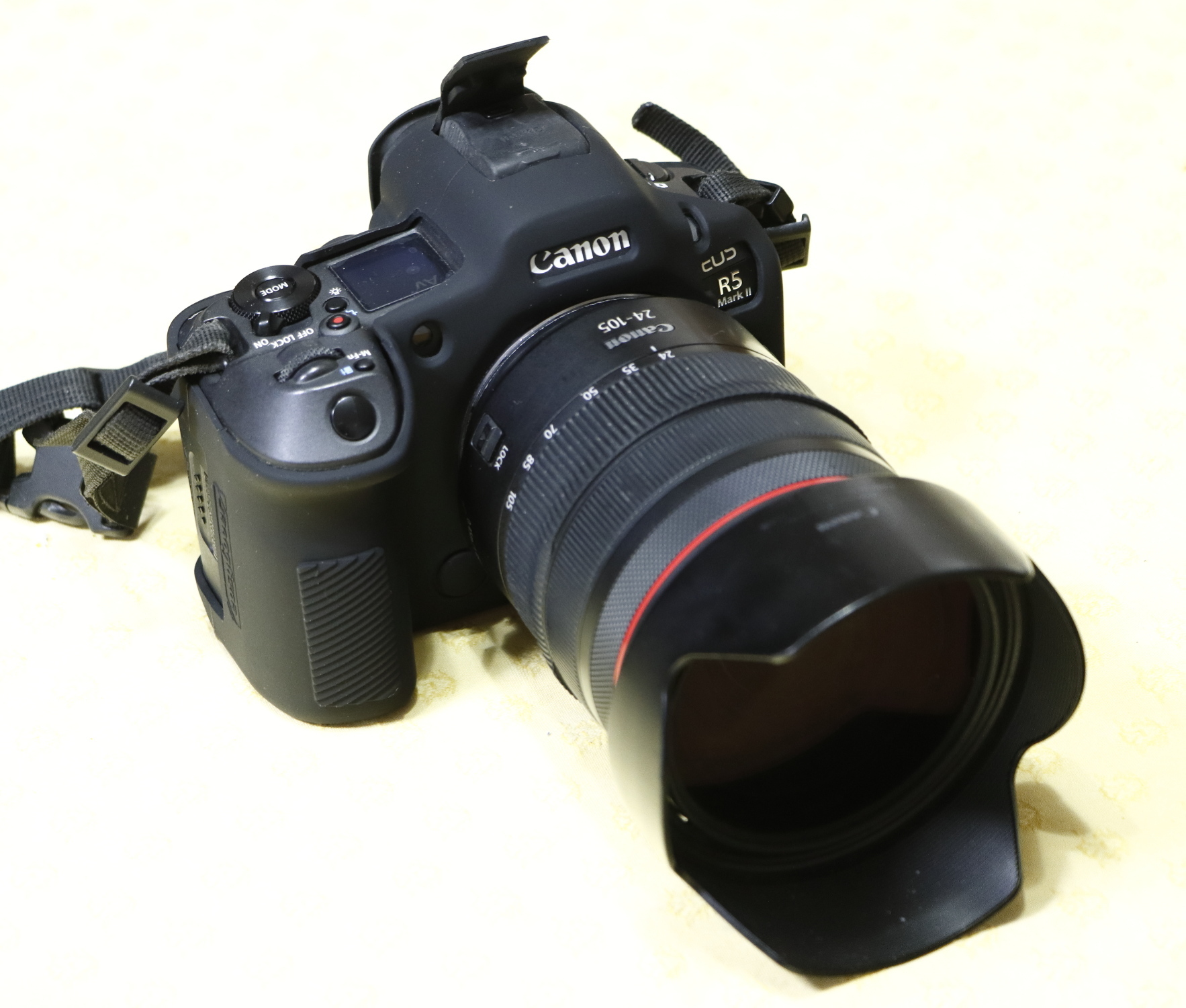 『カメラの調子が悪い』・・AFフレームが勝手に動く、設定外の顔認識が勝手に動く: 山と写真 MORINOBUNA